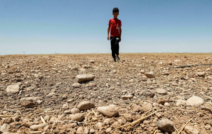 Iraq's desertification reached a critical stage